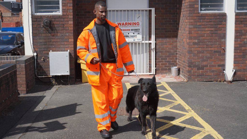 How To Become A Security Dog Handler? | Region Security